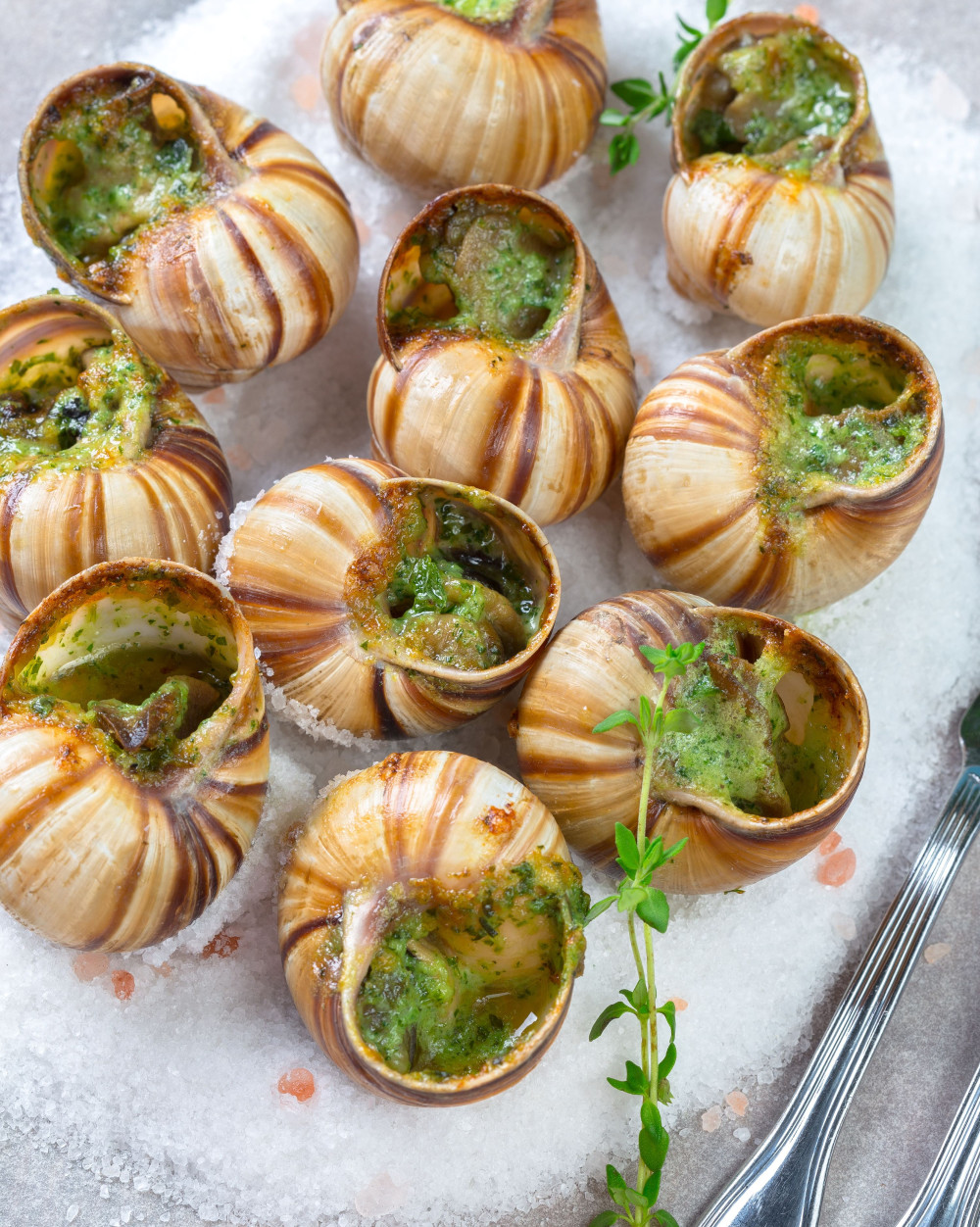 ESCARGOTS | Au petit mousse